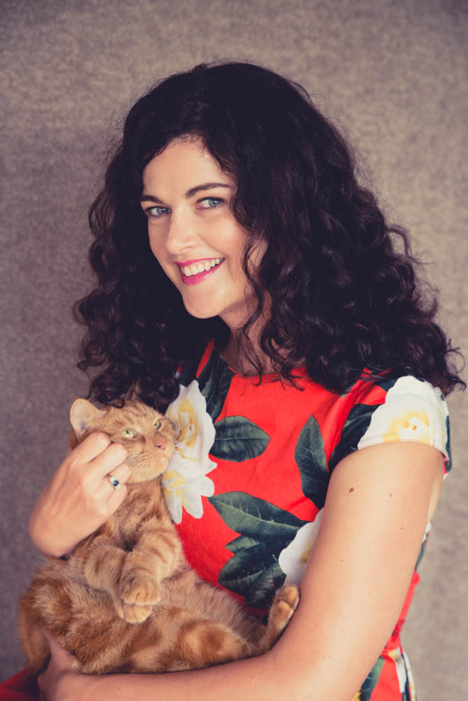 Cats photographed at home in Auckland — Yellow Lab Pet Photographer