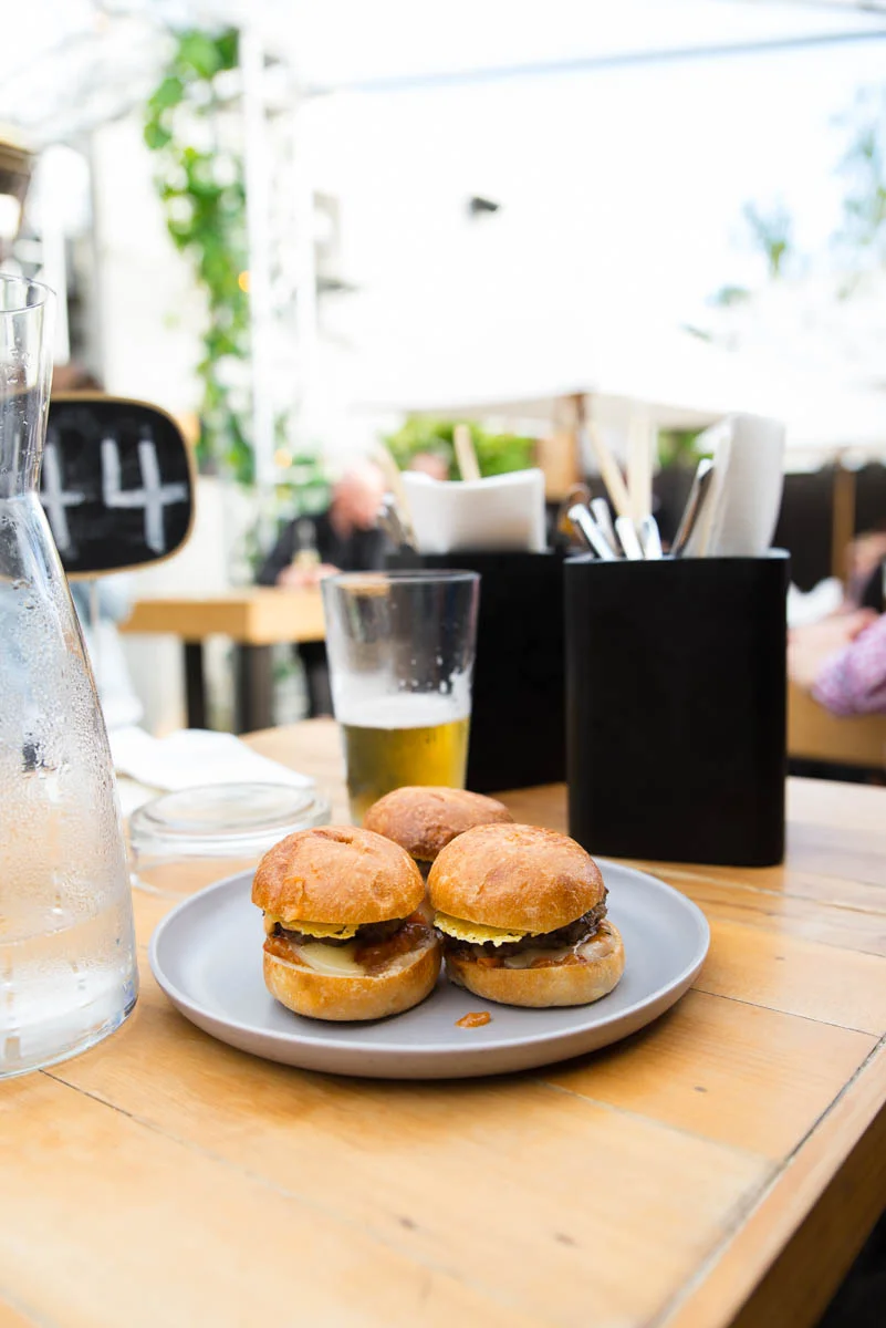 Dog & Grog event with pet photos — Yellow Lab Pet Photographer