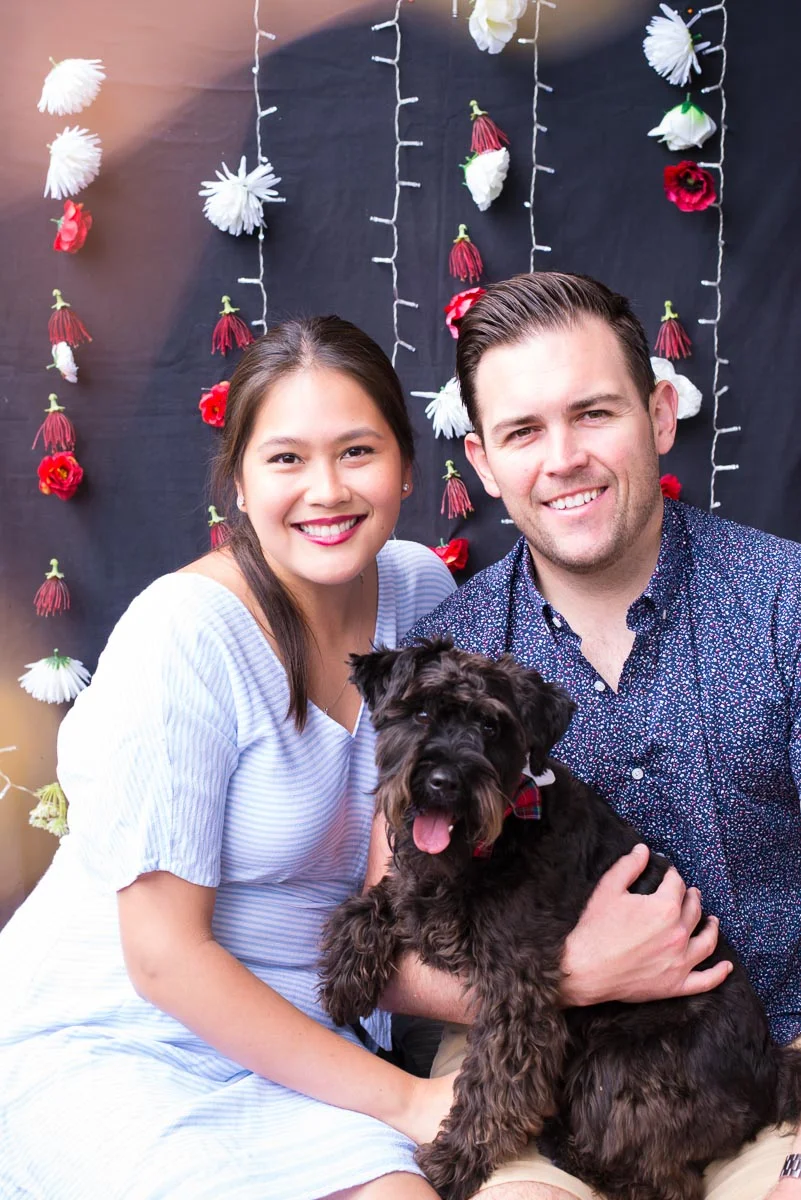 Dog & Grog xmas party, with pics — Yellow Lab Pet Photographer