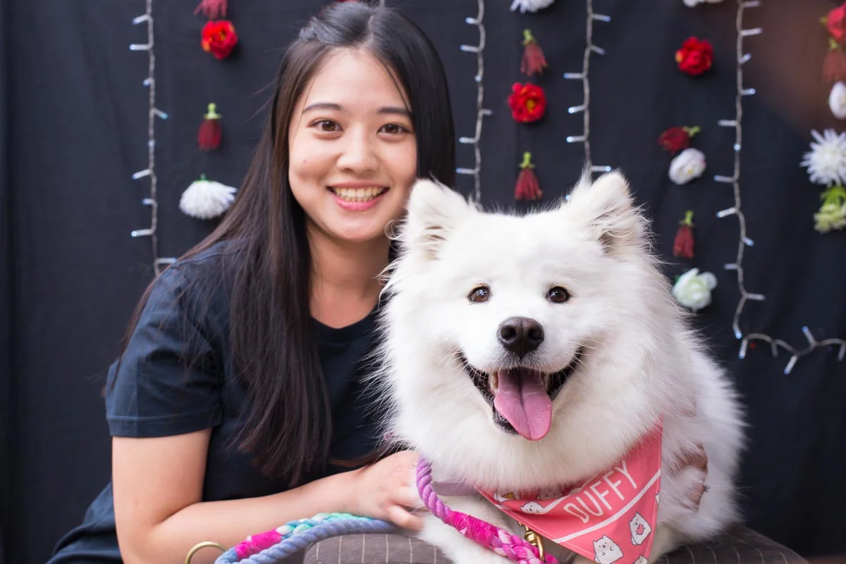 Dog & Grog xmas party, with pics — Yellow Lab Pet Photographer