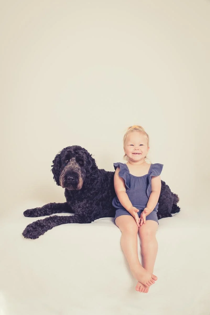 Plan for a successful photoshoot — Yellow Lab Pet Photographer