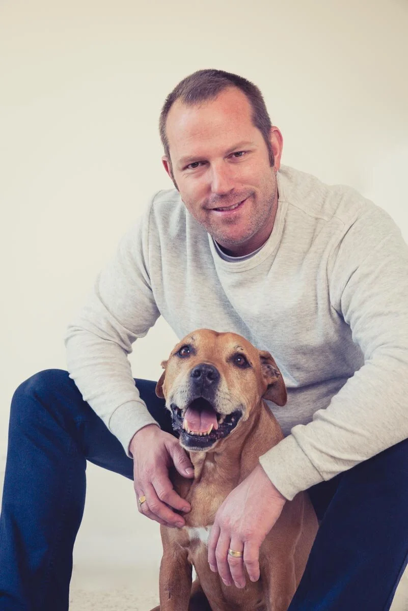 Staffy in studio photo shoot — Yellow Lab Pet Photographer