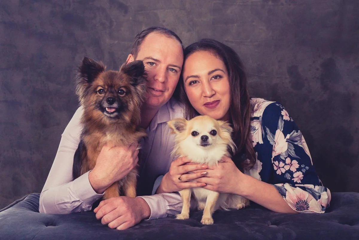 Best dog & family photos 2020 — Yellow Lab Pet Photographer