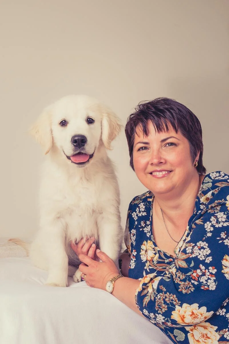 Best dog & family photos 2020 — Yellow Lab Pet Photographer