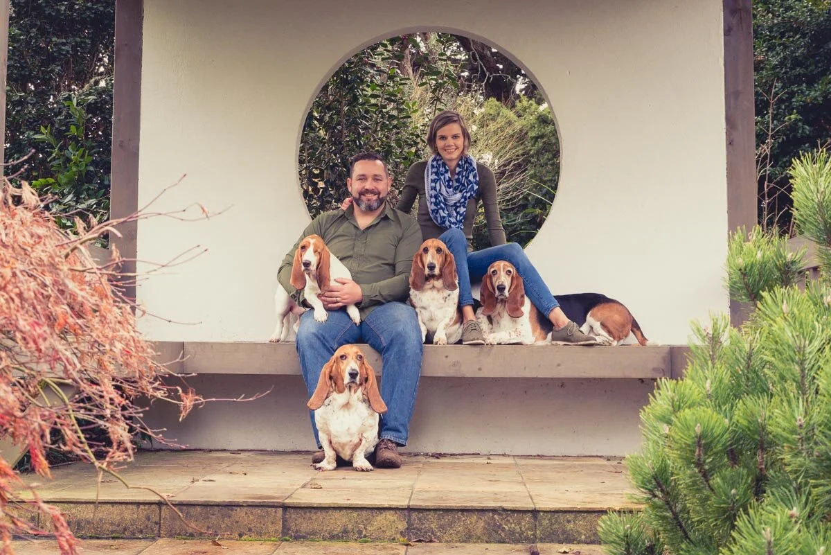 Best dog & family photos 2020 — Yellow Lab Pet Photographer