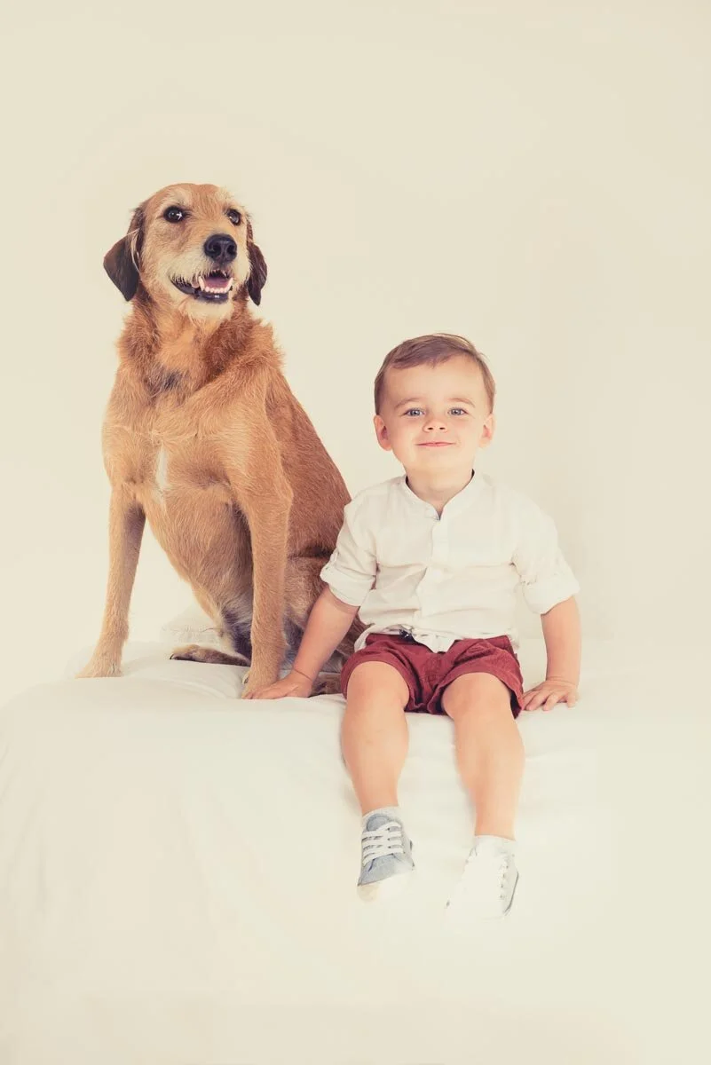 Best dog & family photos 2020 — Yellow Lab Pet Photographer