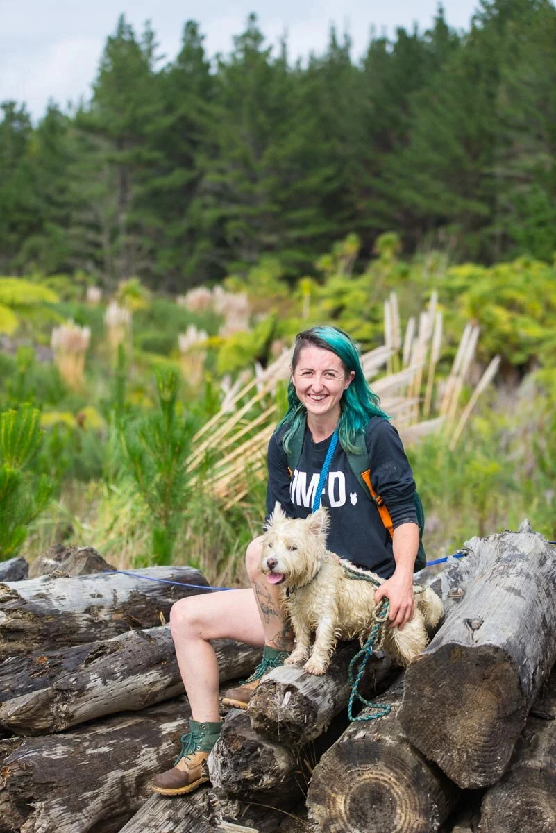 Join dog adventure pack walker for a day — Yellow Lab Pet Photographer