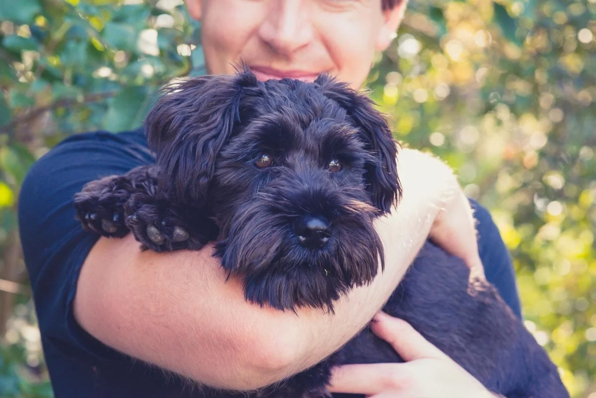 Family photography with schnauzer dog — Yellow Lab Pet Photographer