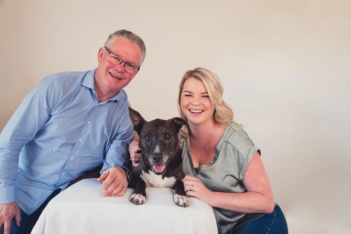 Senior staffy dog portraits — Yellow Lab Pet Photographer