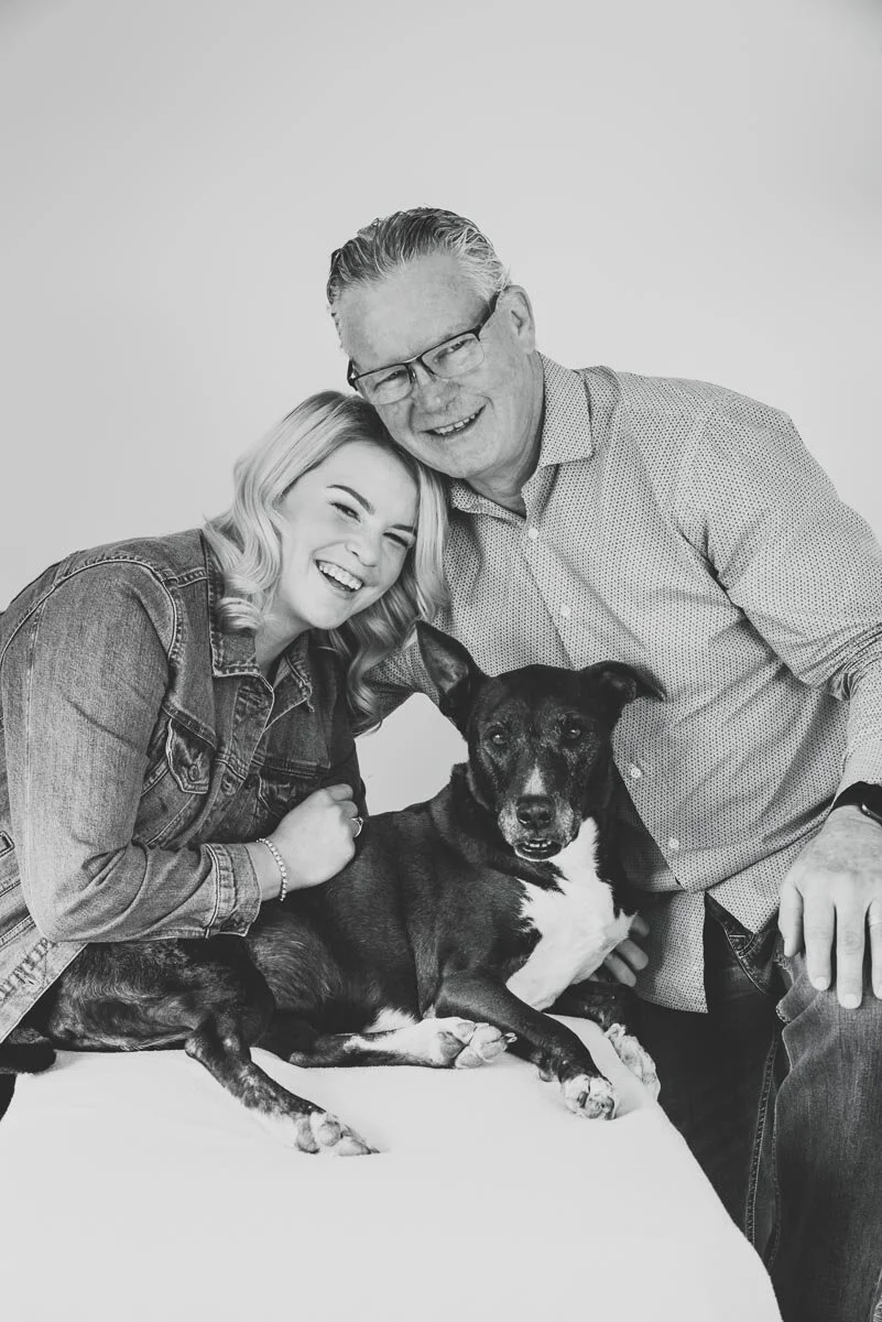 Senior staffy dog portraits — Yellow Lab Pet Photographer