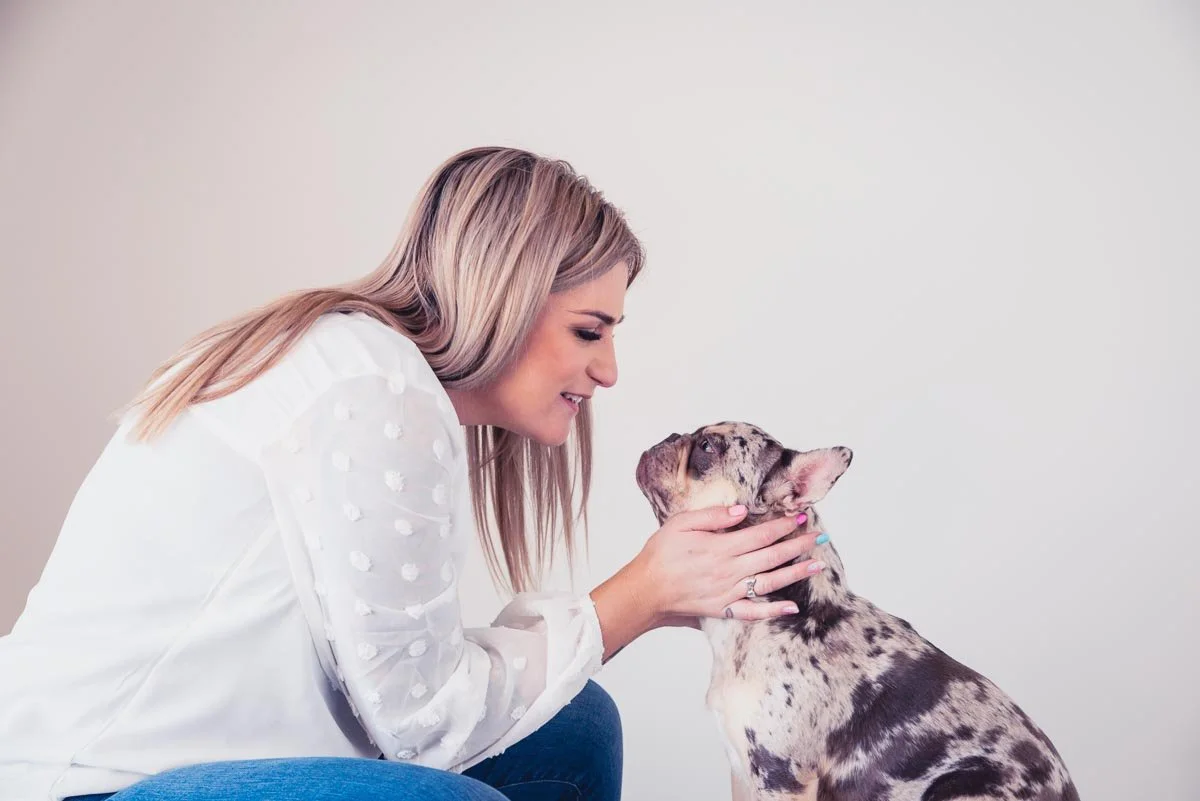 Man's best friend dog photoshoot package upgrade — Yellow Lab Pet ...