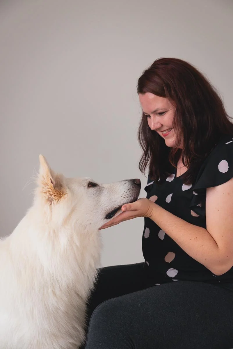 Does your dog need to be perfectly trained for a photoshoot? — Yellow ...