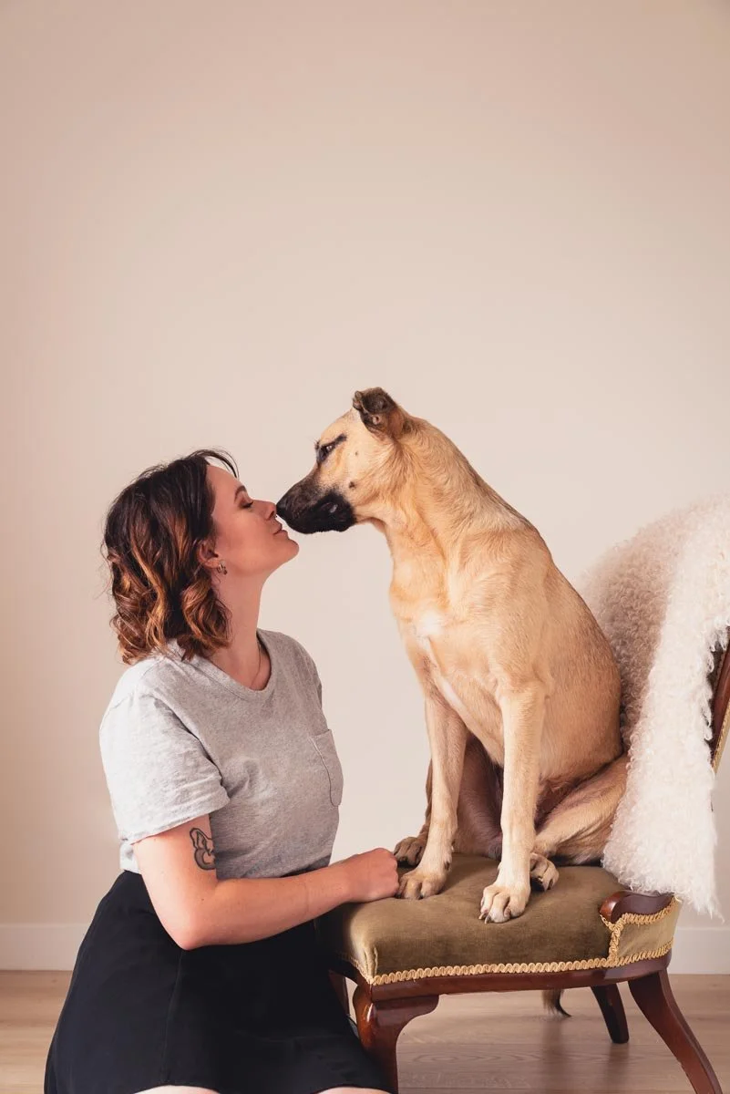 Pawsitively essential: Must-read books for dog lovers — Yellow Lab Pet ...