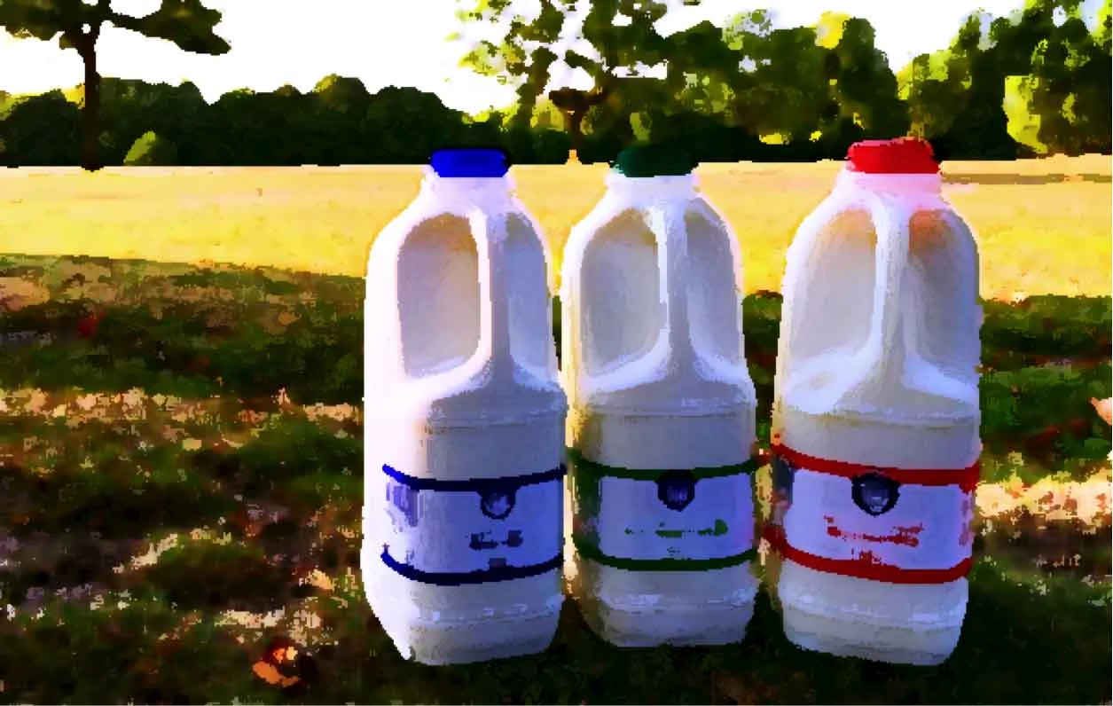 Milk Delivery — Office Pantry