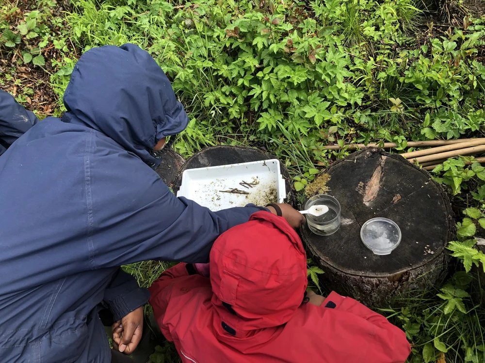 Pendarren May 2022 — Earlsmead Primary School