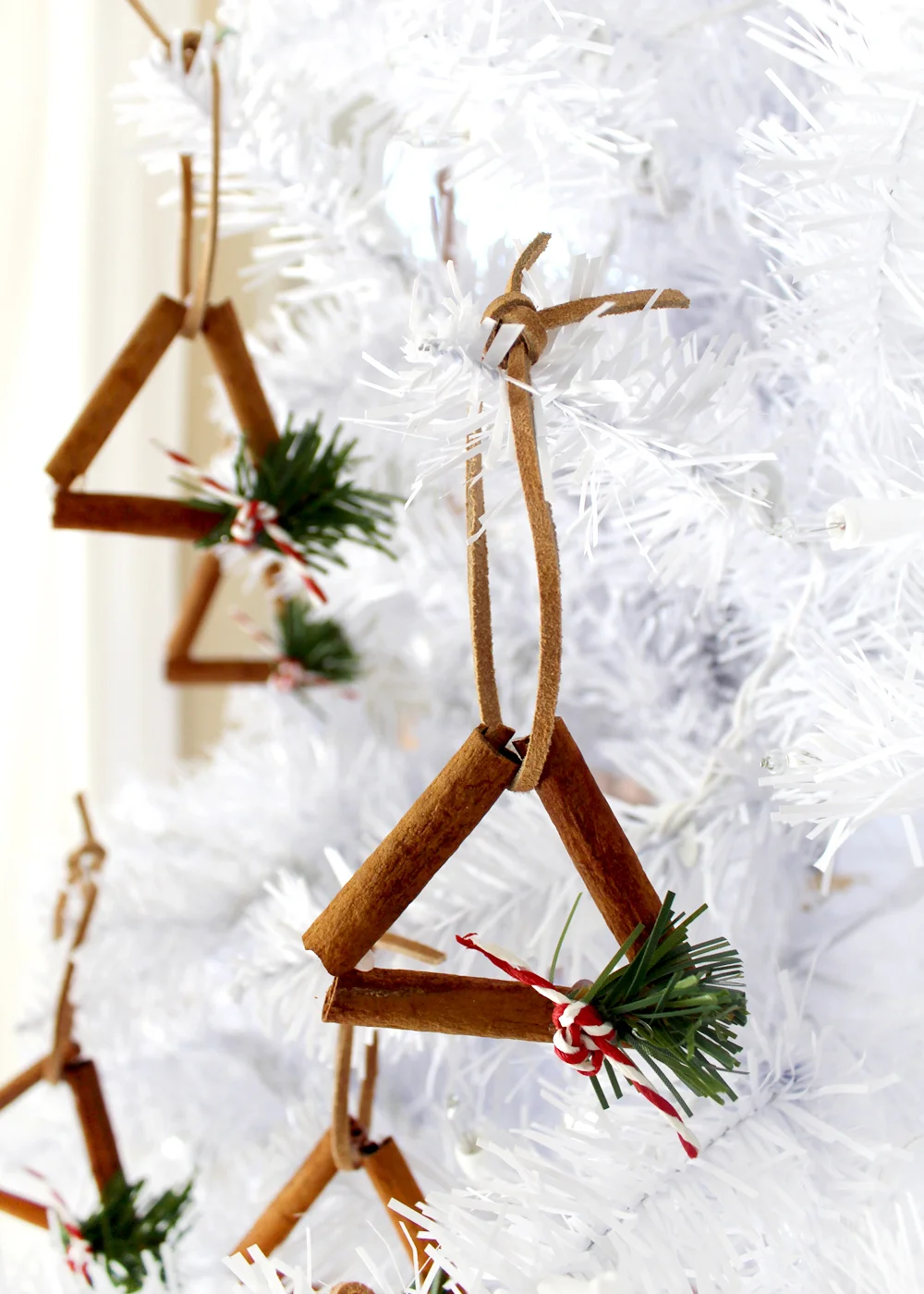 Cinnamon Ornaments — Tag & Tibby Design