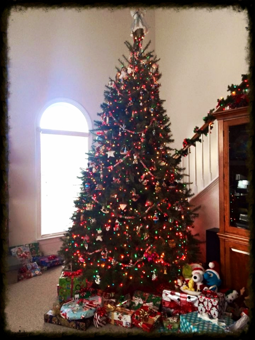 Christmas Tree Care — UNANGST TREE FARMS