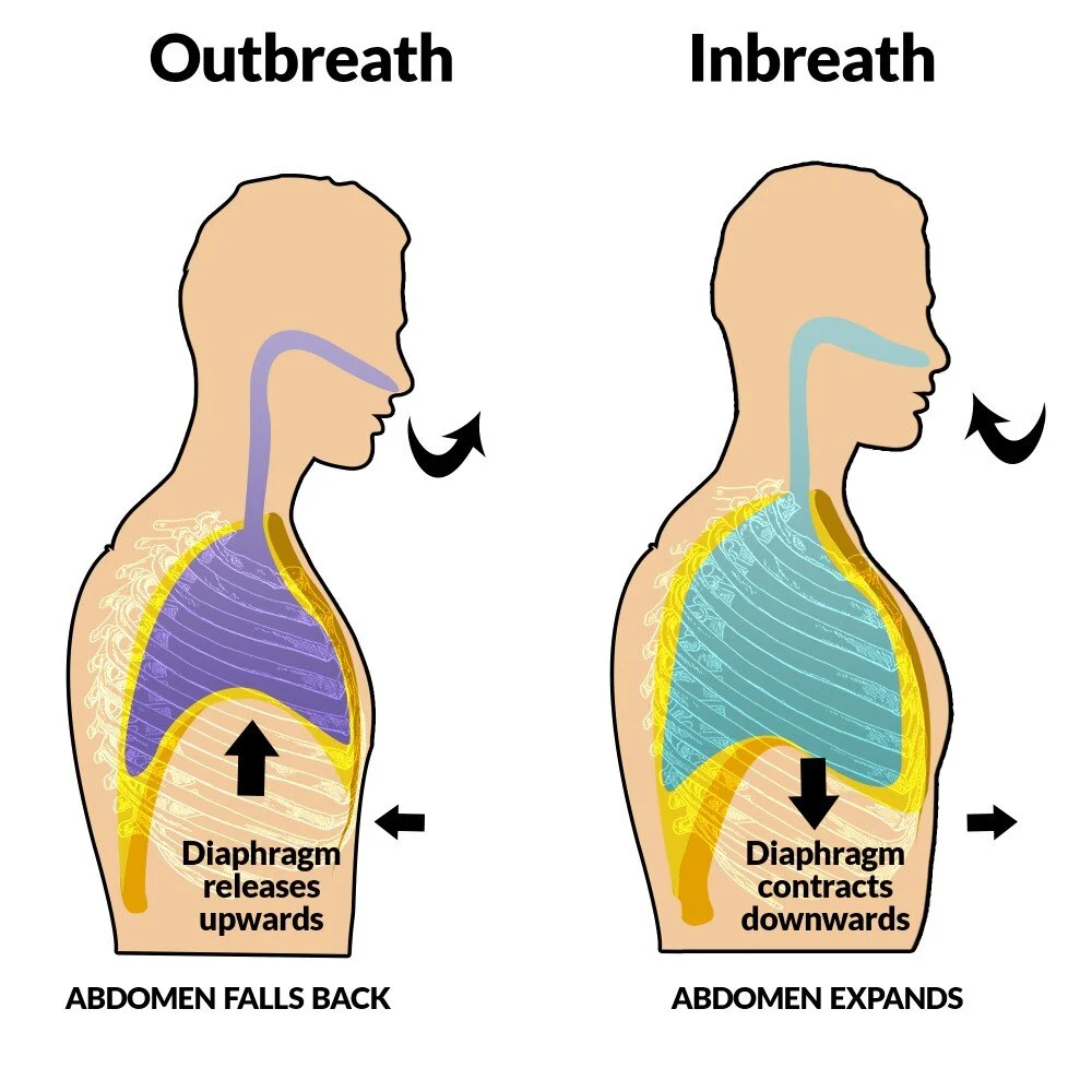 Stress Relief Technique: Diaphragmatic Breathing - By Cortney Welch ...