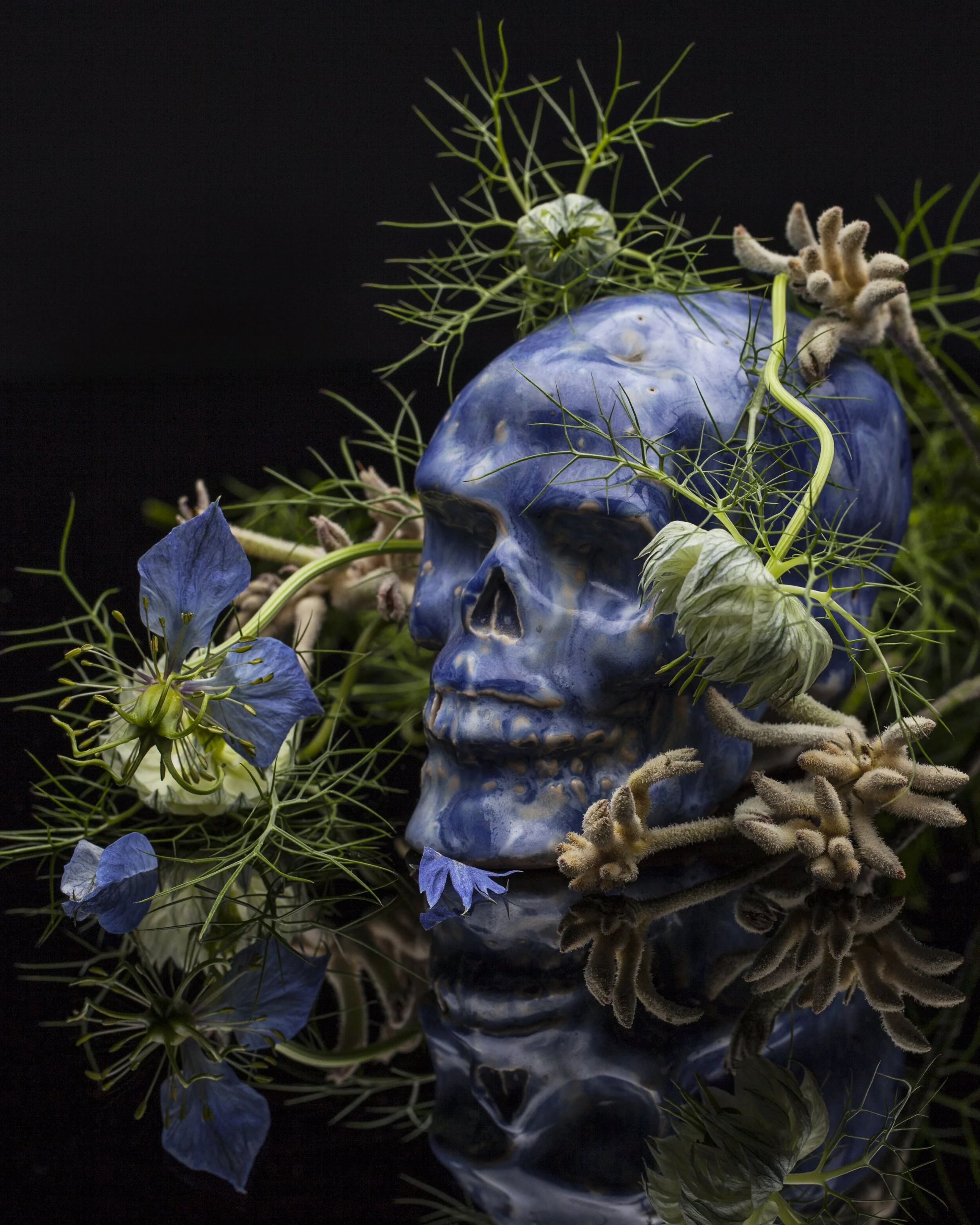 Portraits — Kelly Ryerson