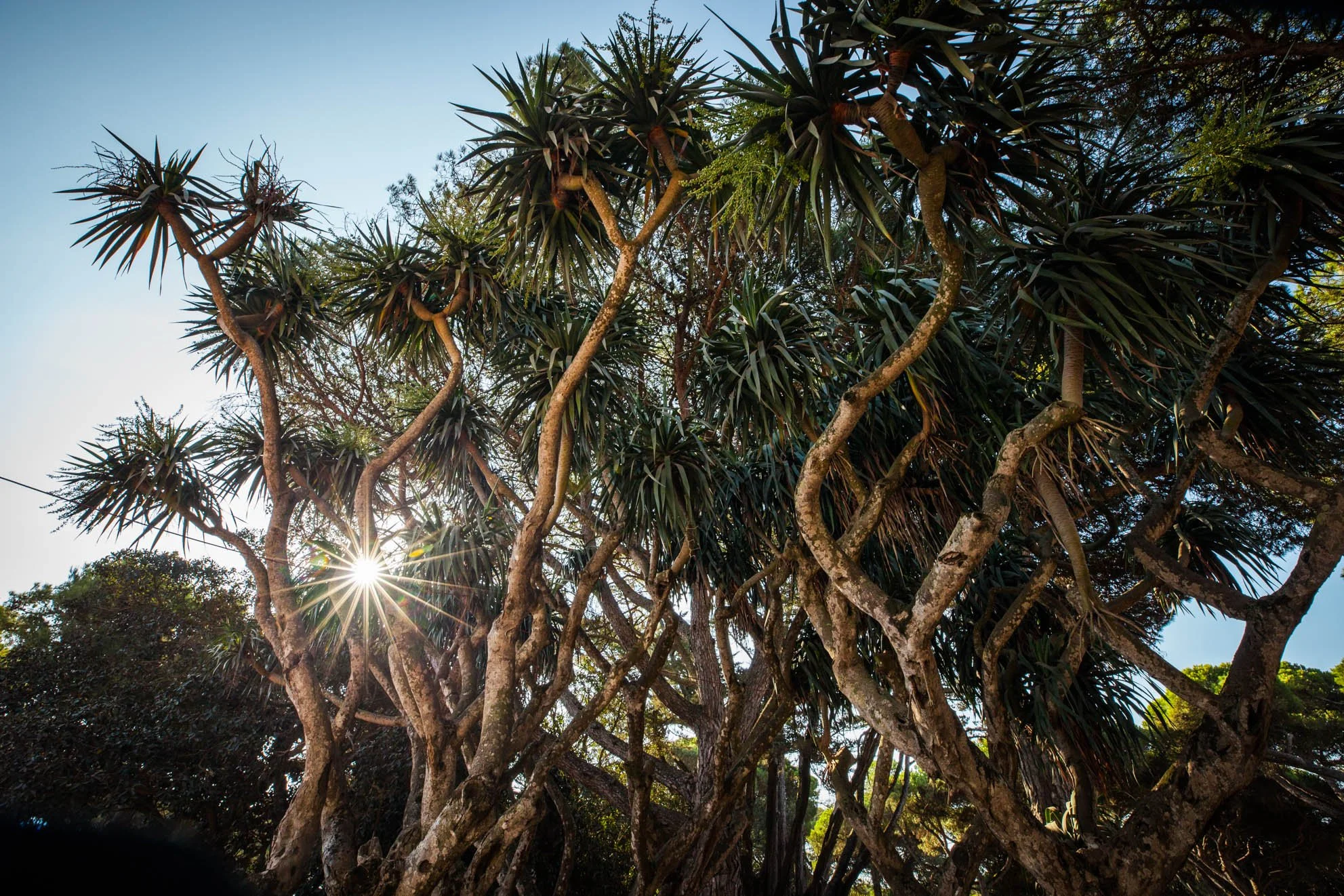 Portugal — Kelly Ryerson