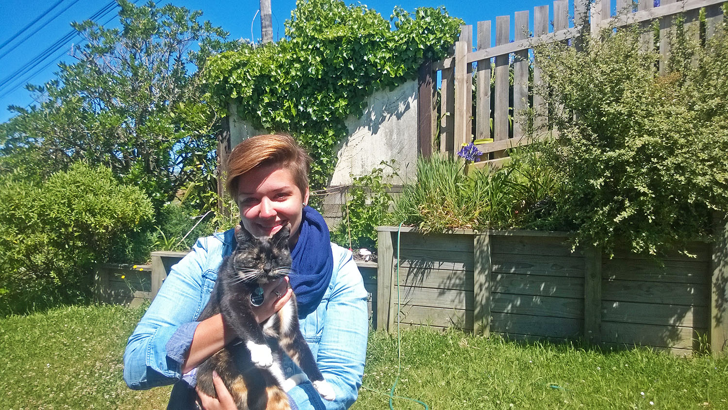 Getting to Wellington, New Zealand, and then trying to get out ...