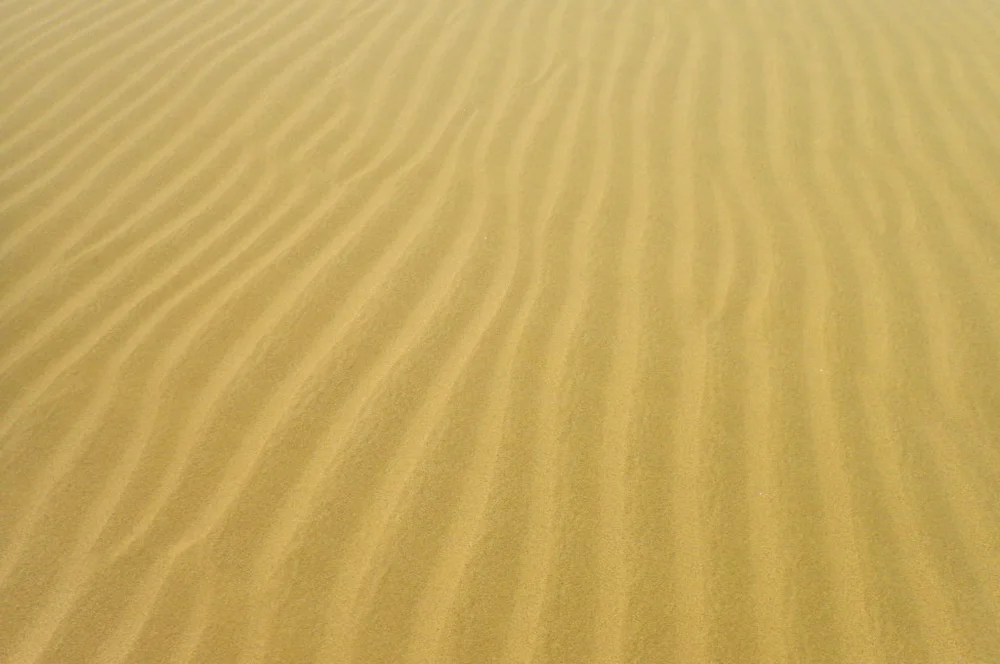 4 steps to sandboarding the Te Paki dunes in New Zealand — Deviating ...
