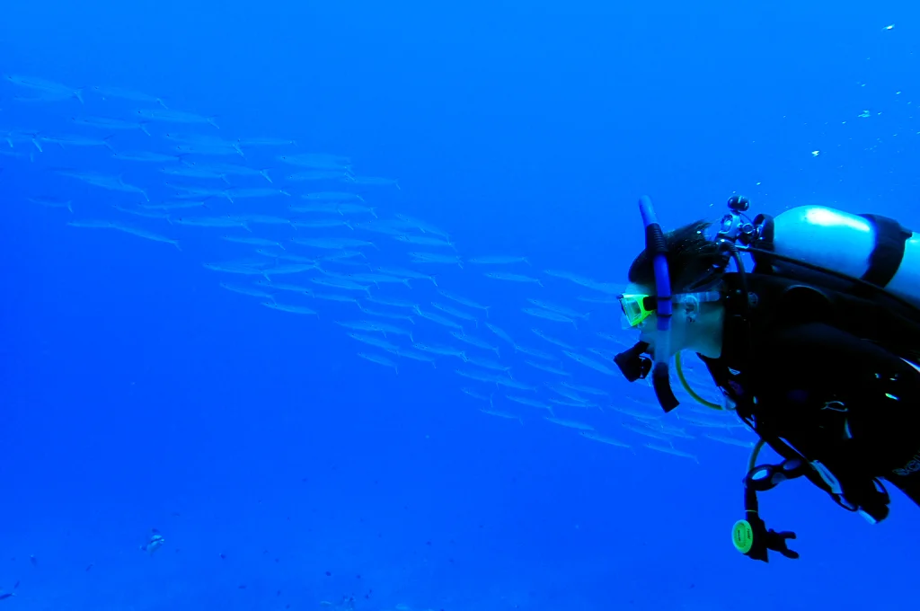 SCUBA diving in Niue: Caves and sea snakes under the sea — Deviating ...