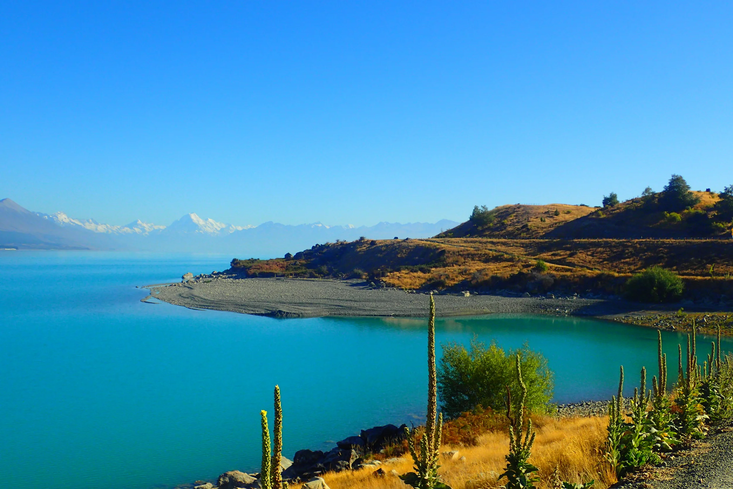 Lake Pukaki to Tekapo: The world’s best star-gazing and my favorite ...