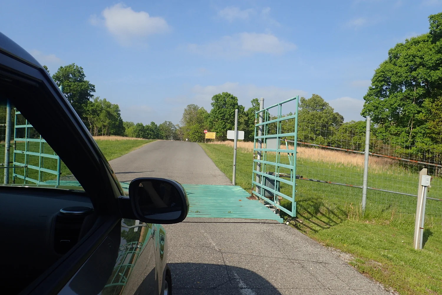 I saw Bison, America's First National Mammal, in Kentucky — Deviating ...