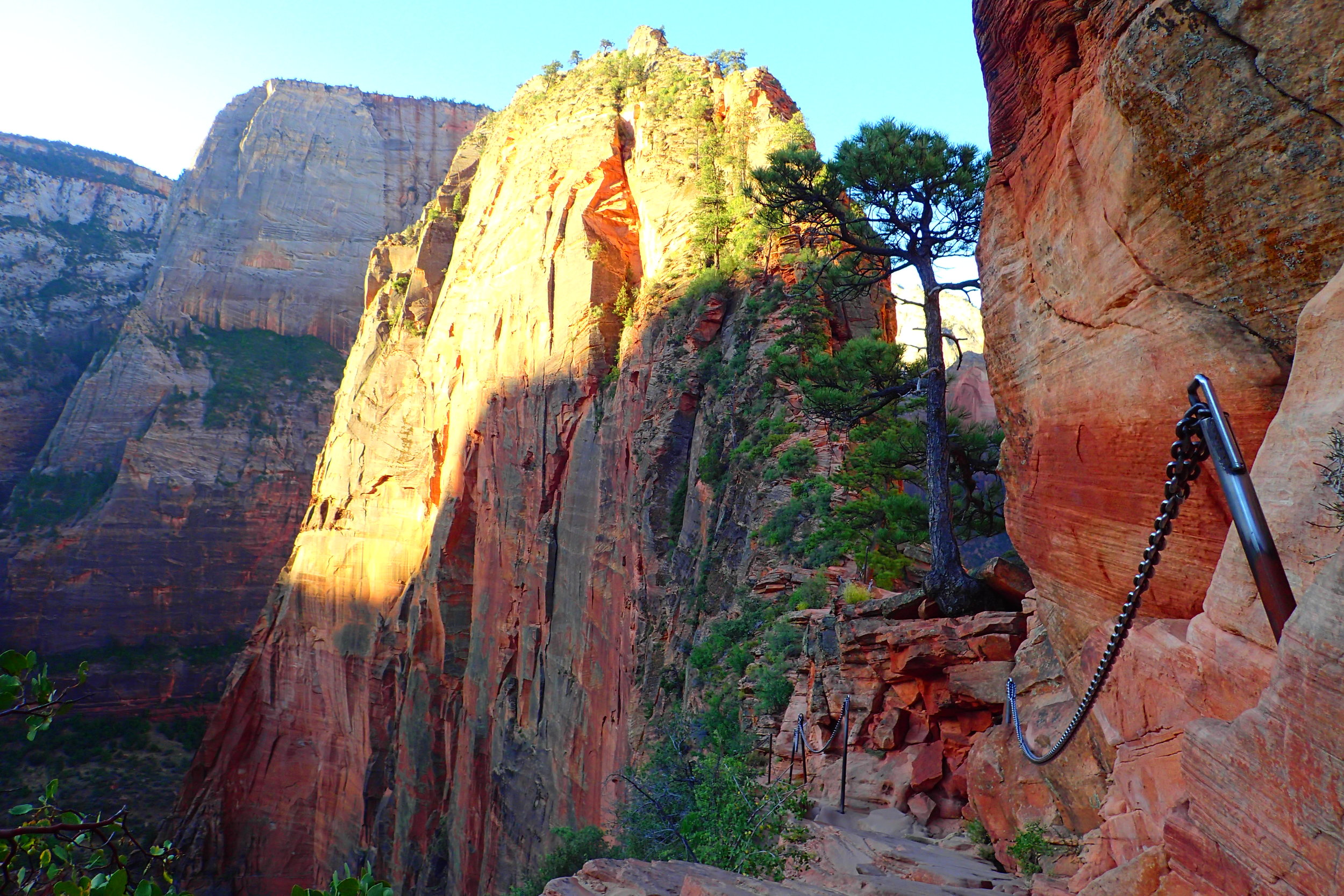 Angel's Landing: Zion's Most Dangerous (and Crowded) Hike — Deviating ...