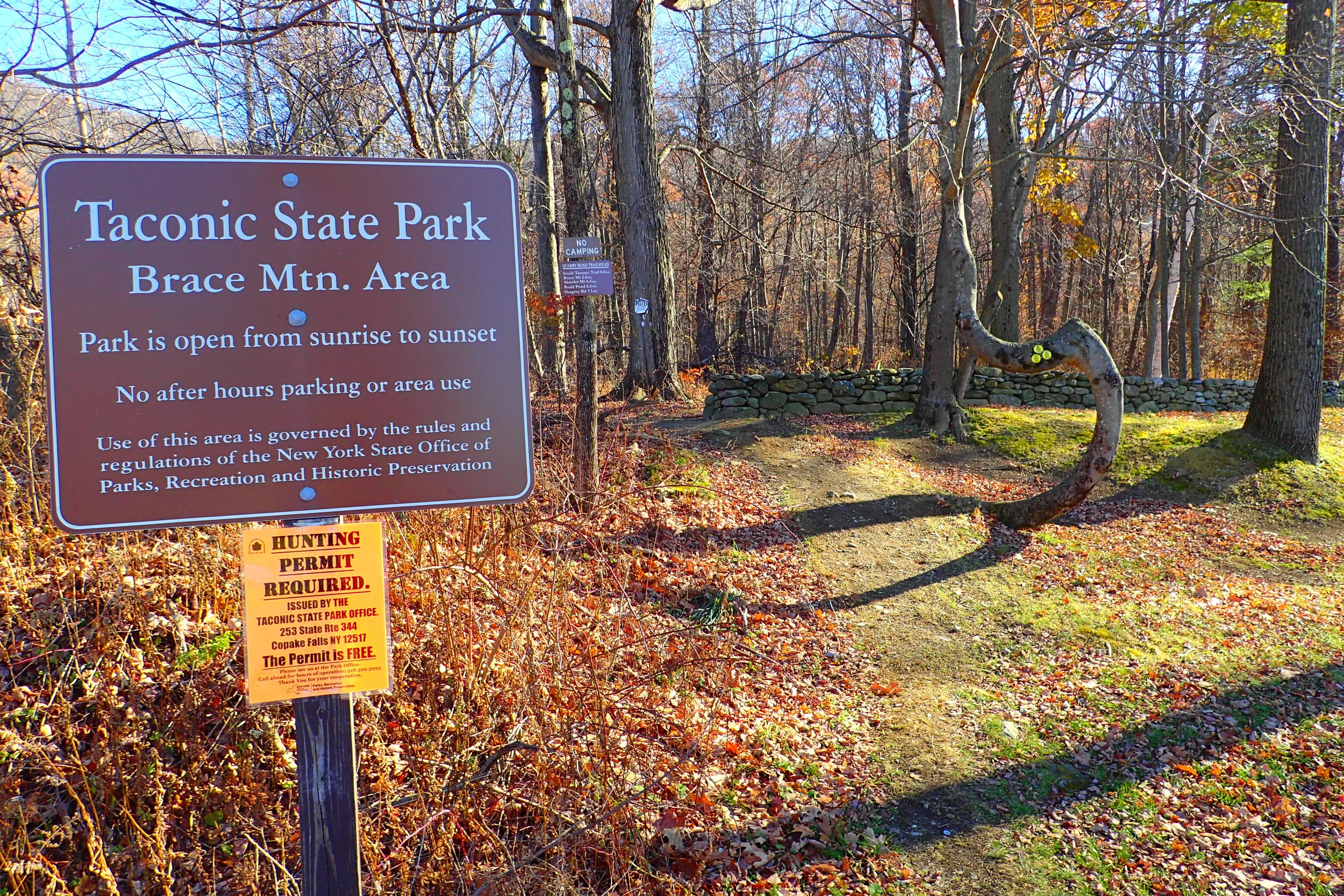 Hiking Brace Mountain in Upstate New York — Deviating the Norm