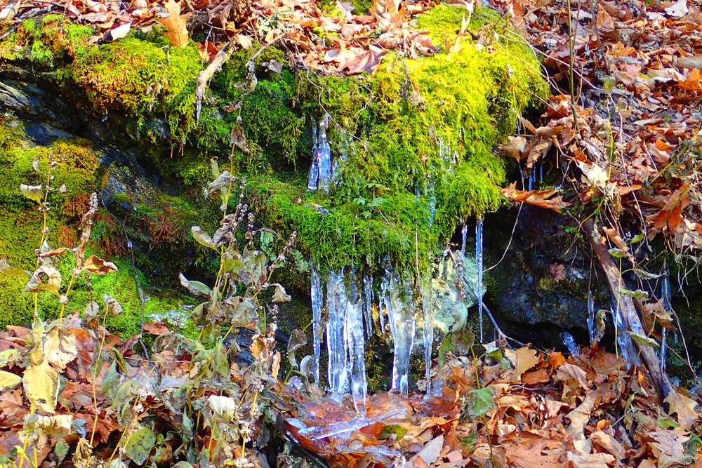 Hiking Brace Mountain in Upstate New York — Deviating the Norm
