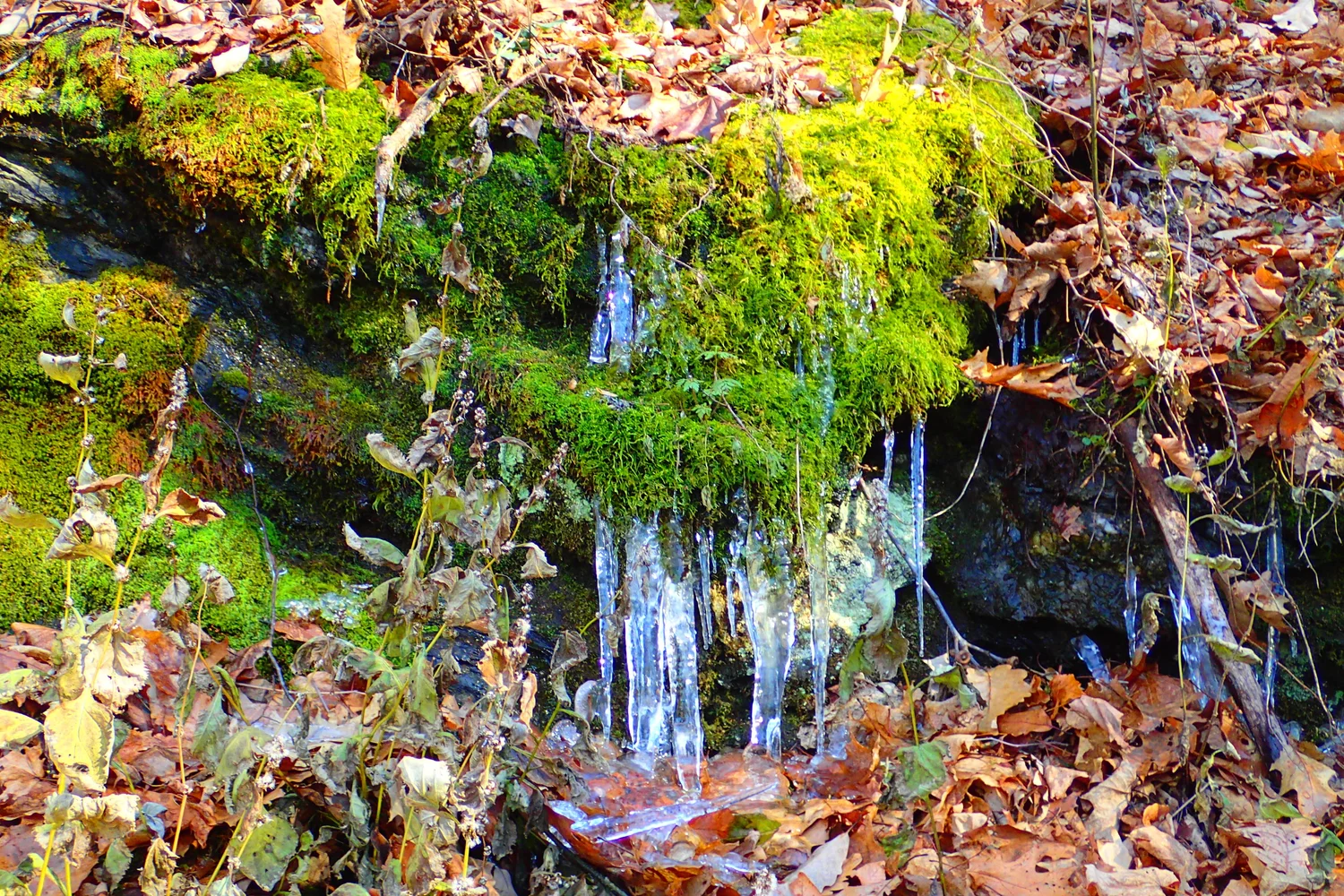 Hiking Brace Mountain in Upstate New York — Deviating the Norm