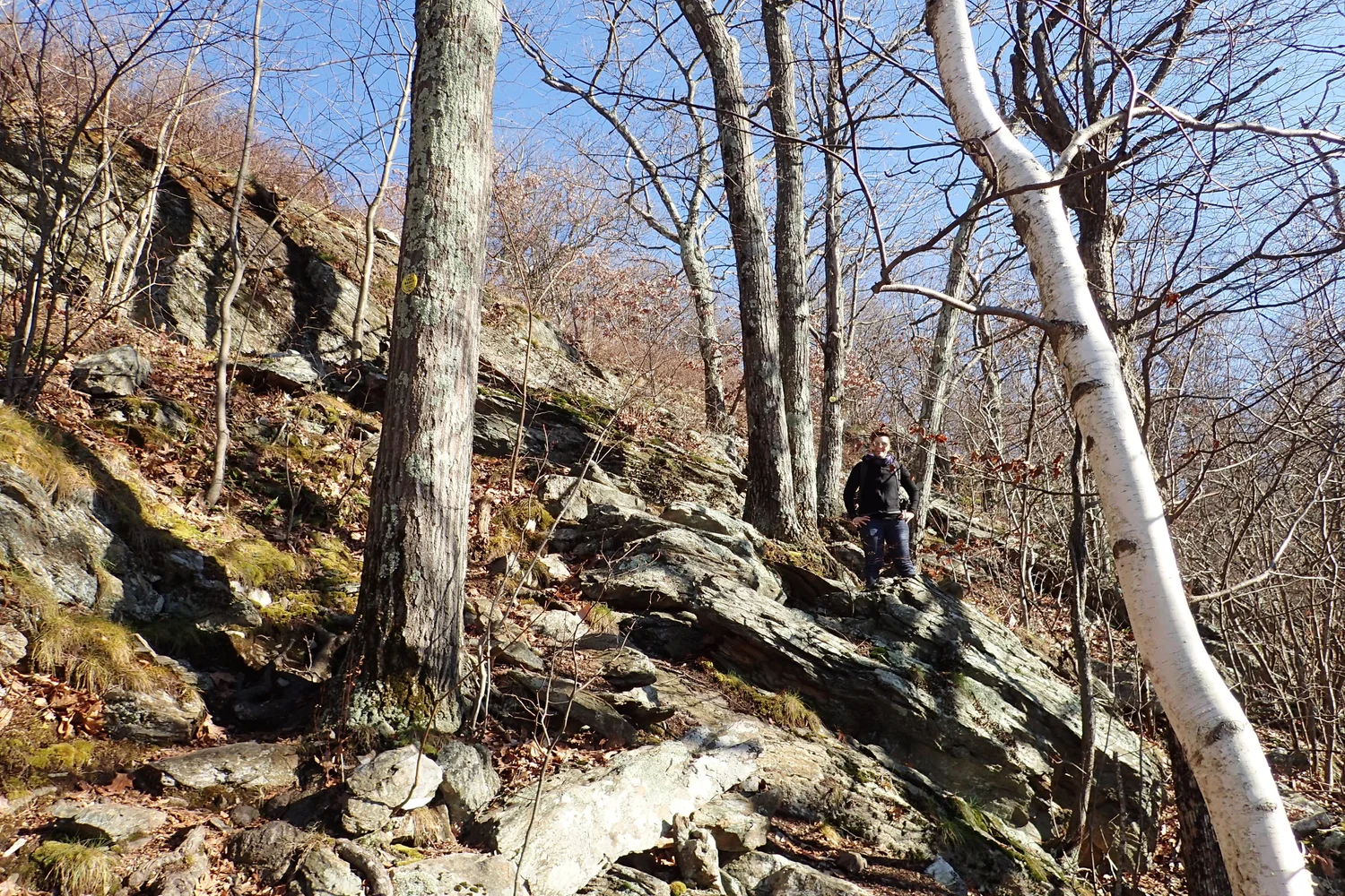 Hiking Brace Mountain in Upstate New York — Deviating the Norm