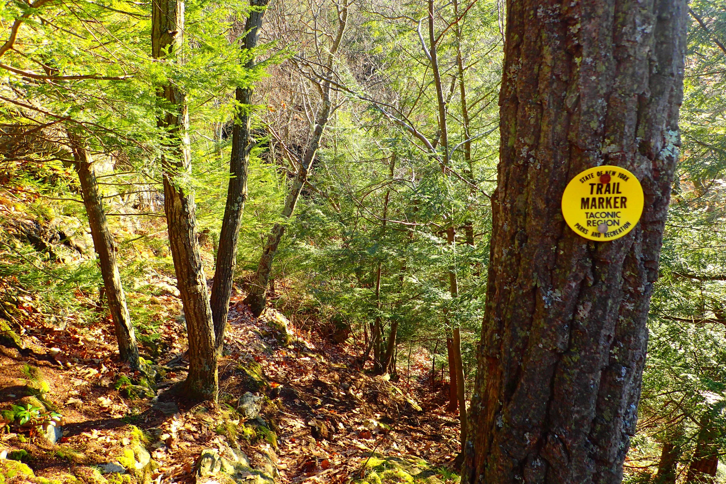 Hiking Brace Mountain in Upstate New York — Deviating the Norm