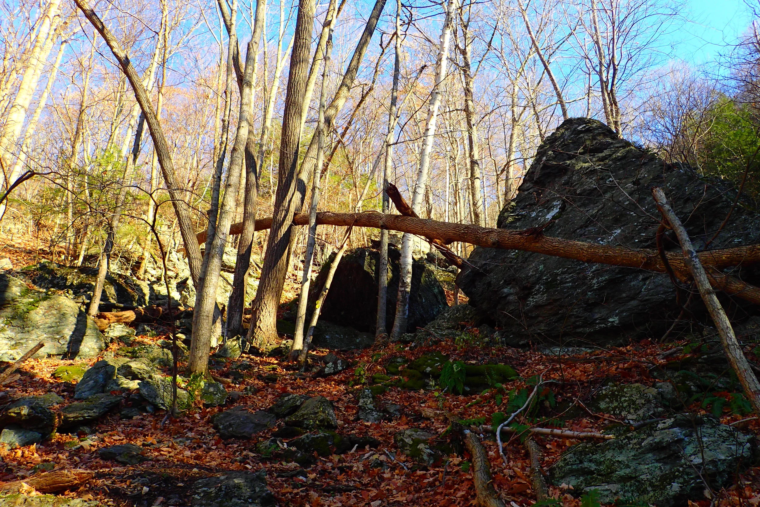 Hiking Brace Mountain in Upstate New York — Deviating the Norm