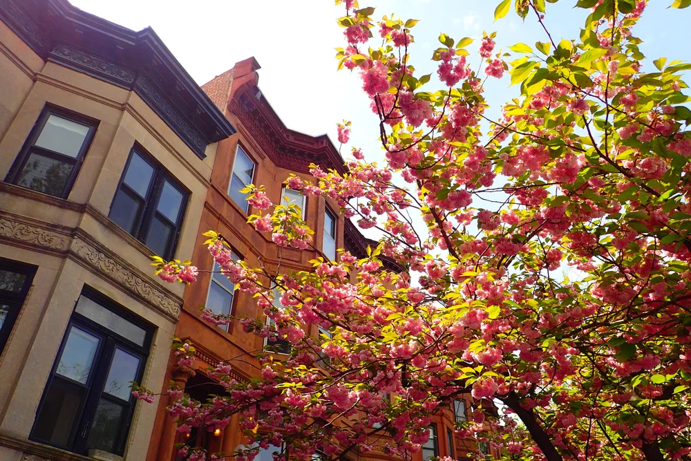 My 8 Favorite Brooklyn Things To Do in Spring — Deviating the Norm