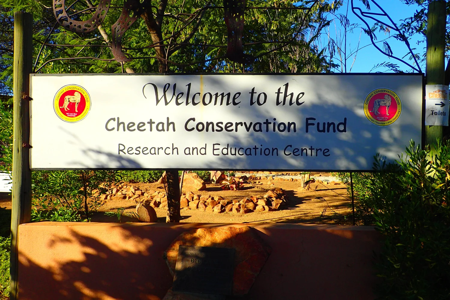 Visiting The Cheetah Conservation Fund In Namibia — Deviating the Norm