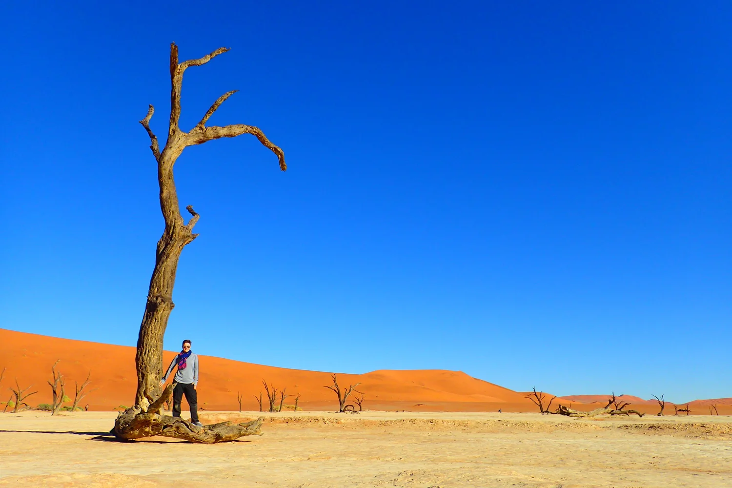 Photographing Namibia's Deadvlei As A Solo Traveler — Deviating the Norm