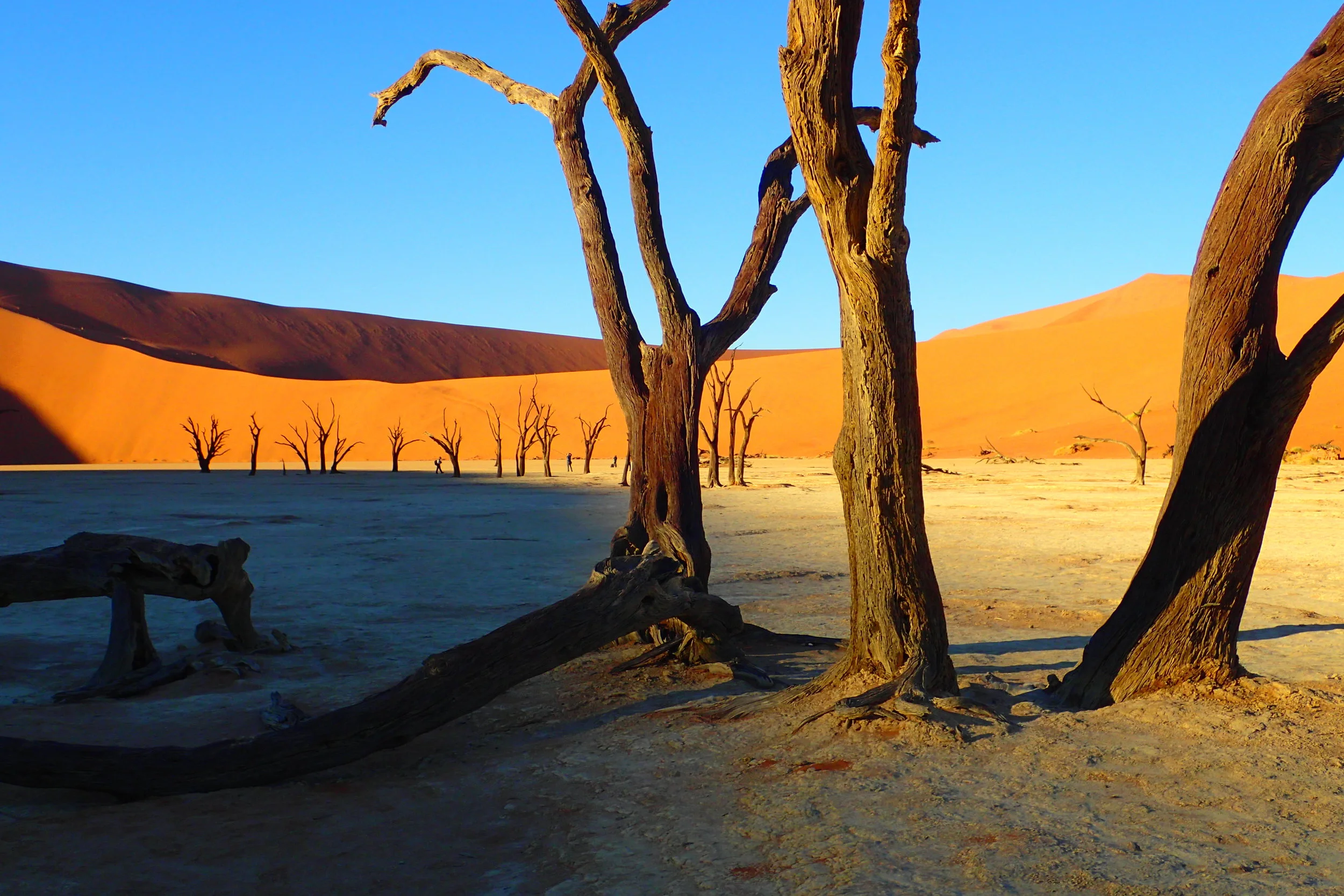 Photographing Namibia's Deadvlei As A Solo Traveler — Deviating the Norm