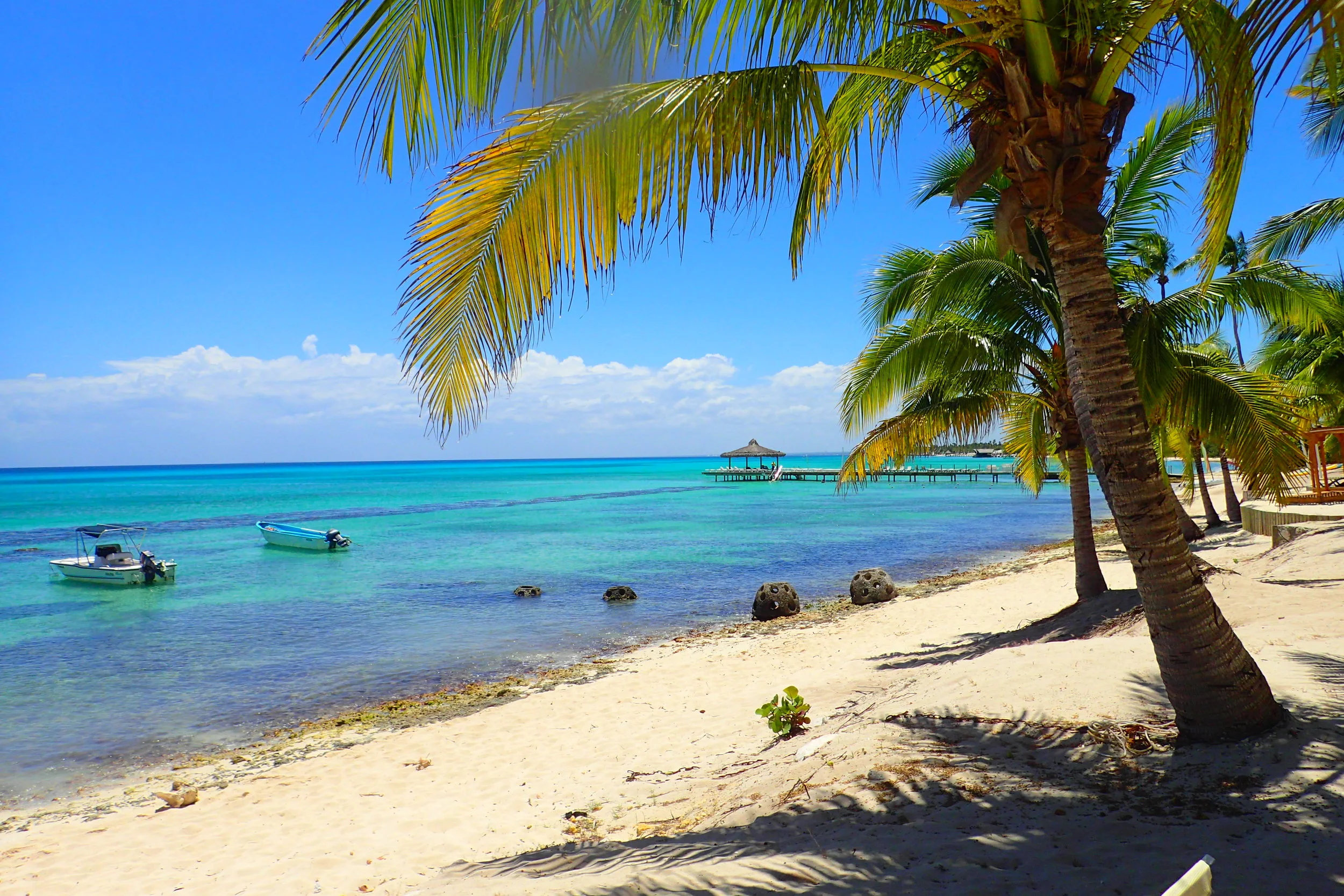 Diving the Caribbean Sea in Bayahibe, Dominican Republic — Deviating ...