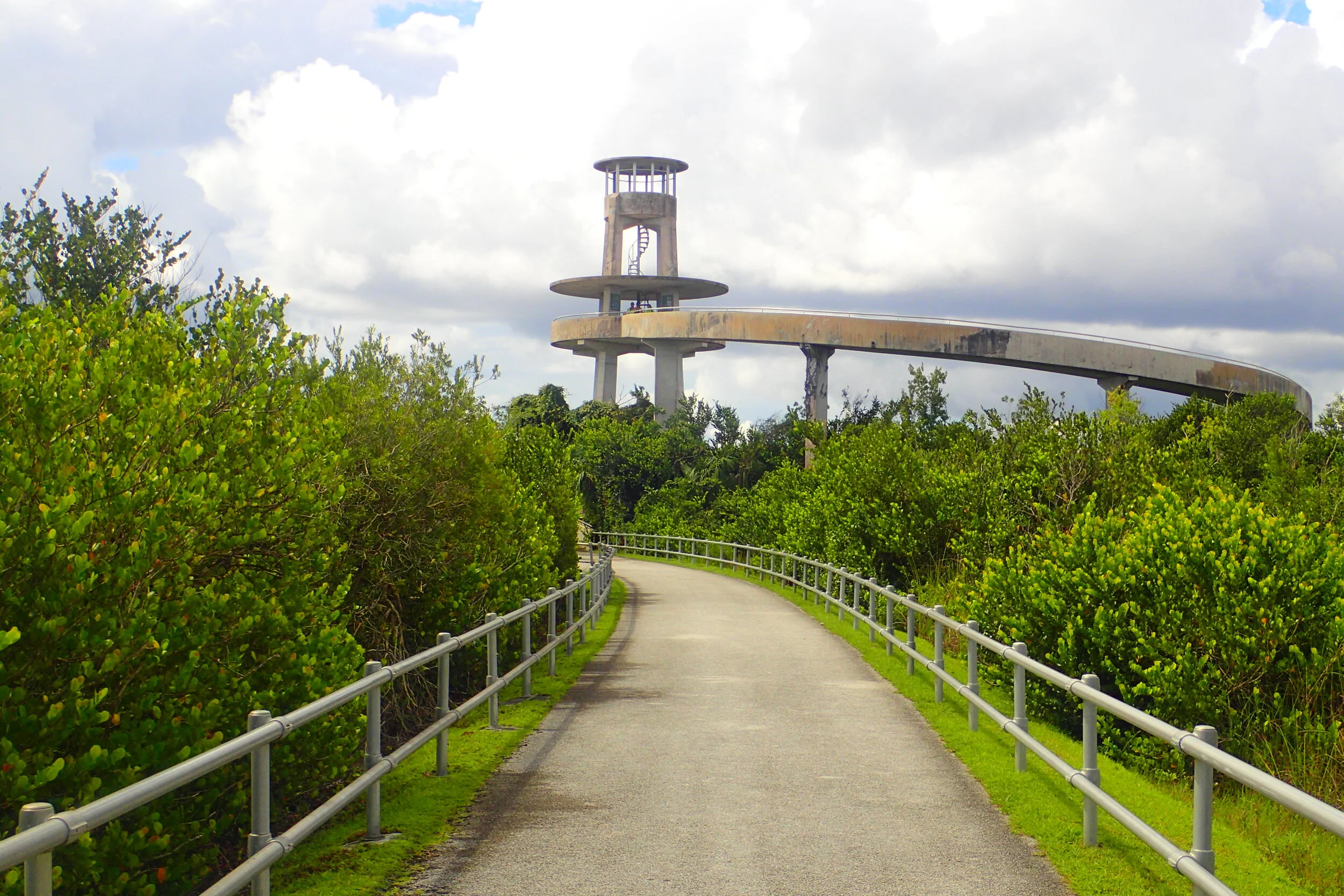 How to See Alligators in the Florida Everglades — Deviating the Norm