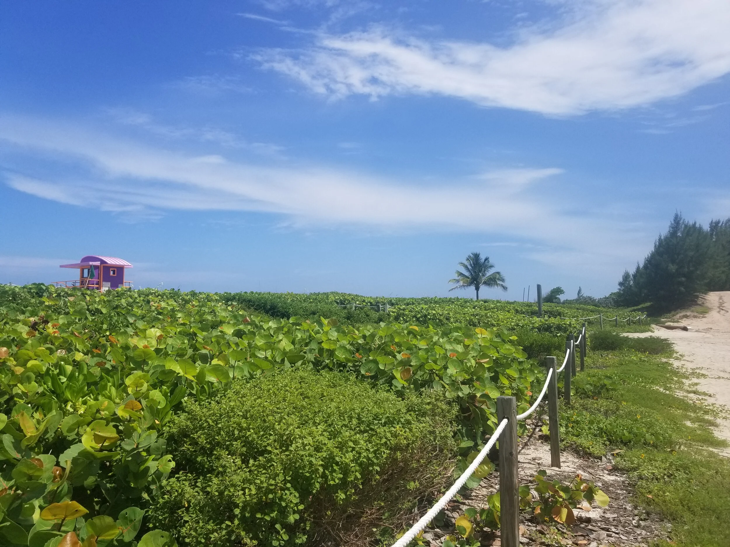 13 Must Do Activities In Miami Deviating The Norm 13-must-do-activities-in-miami-deviating-the-norm