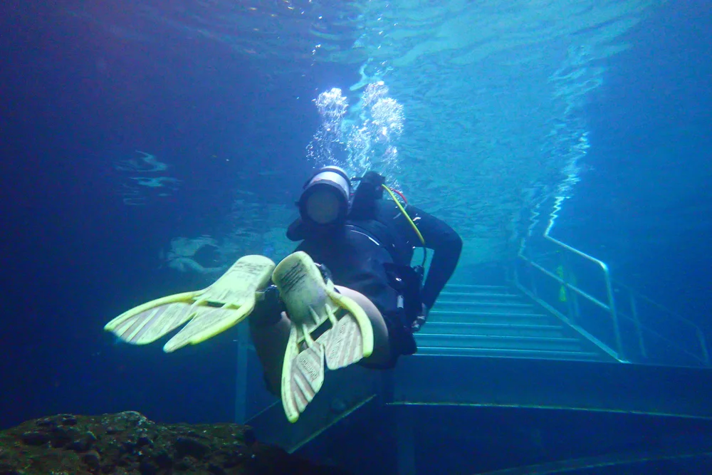 Diving Devil’s Den: Florida’s Gulf Coast, Part 2 — Deviating the Norm