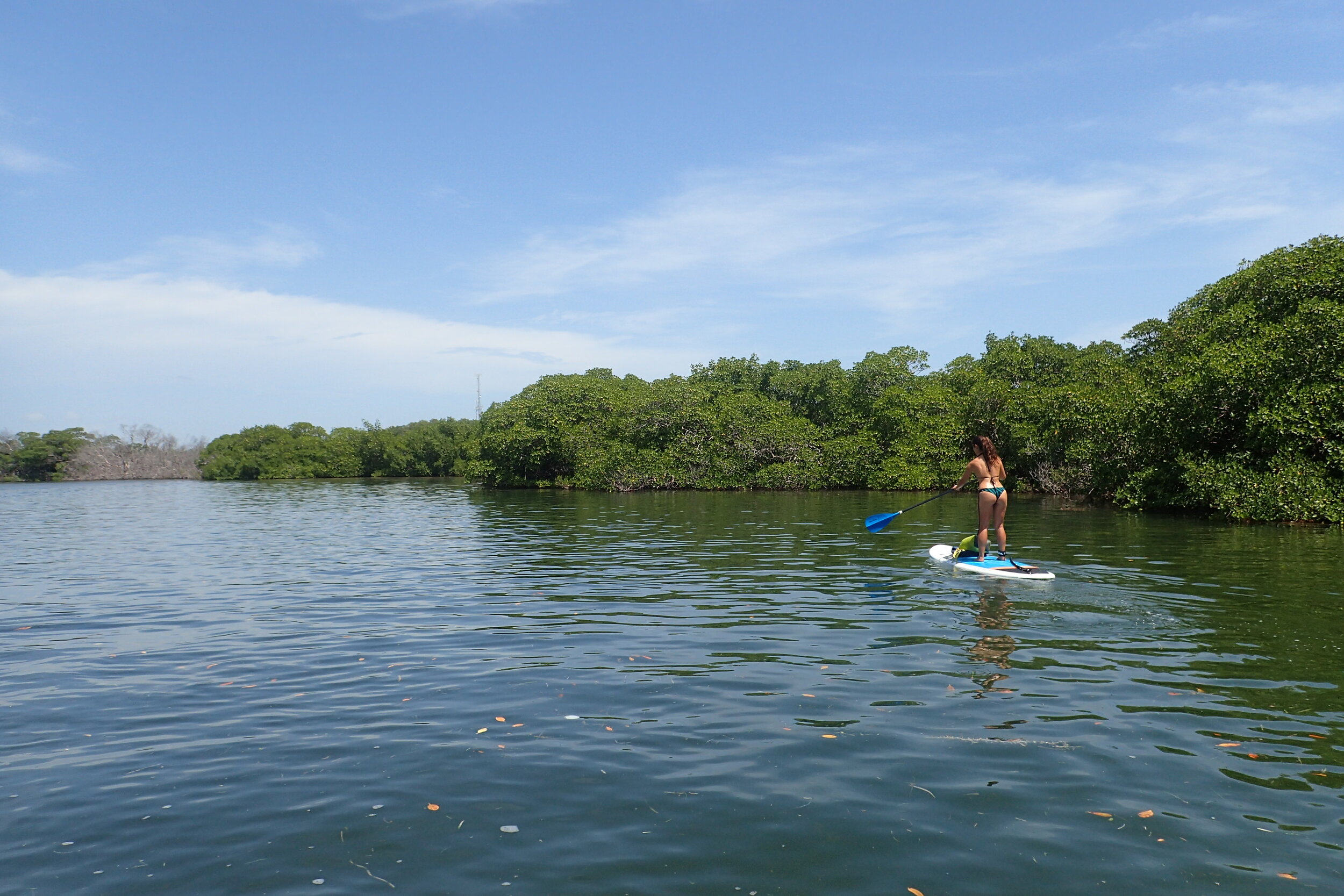 Paddleboarding the Florida Keys: A Day Trip — Deviating the Norm