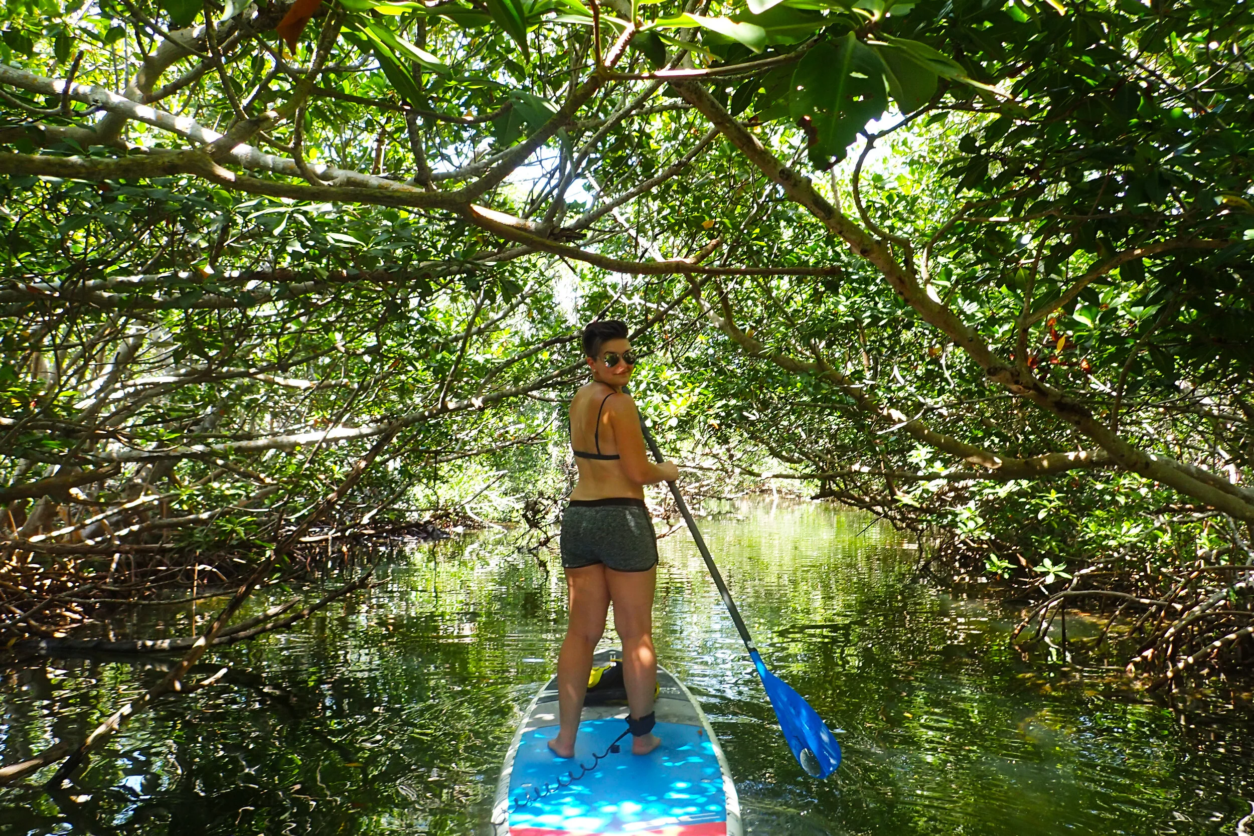 Paddleboarding the Florida Keys: A Day Trip — Deviating the Norm