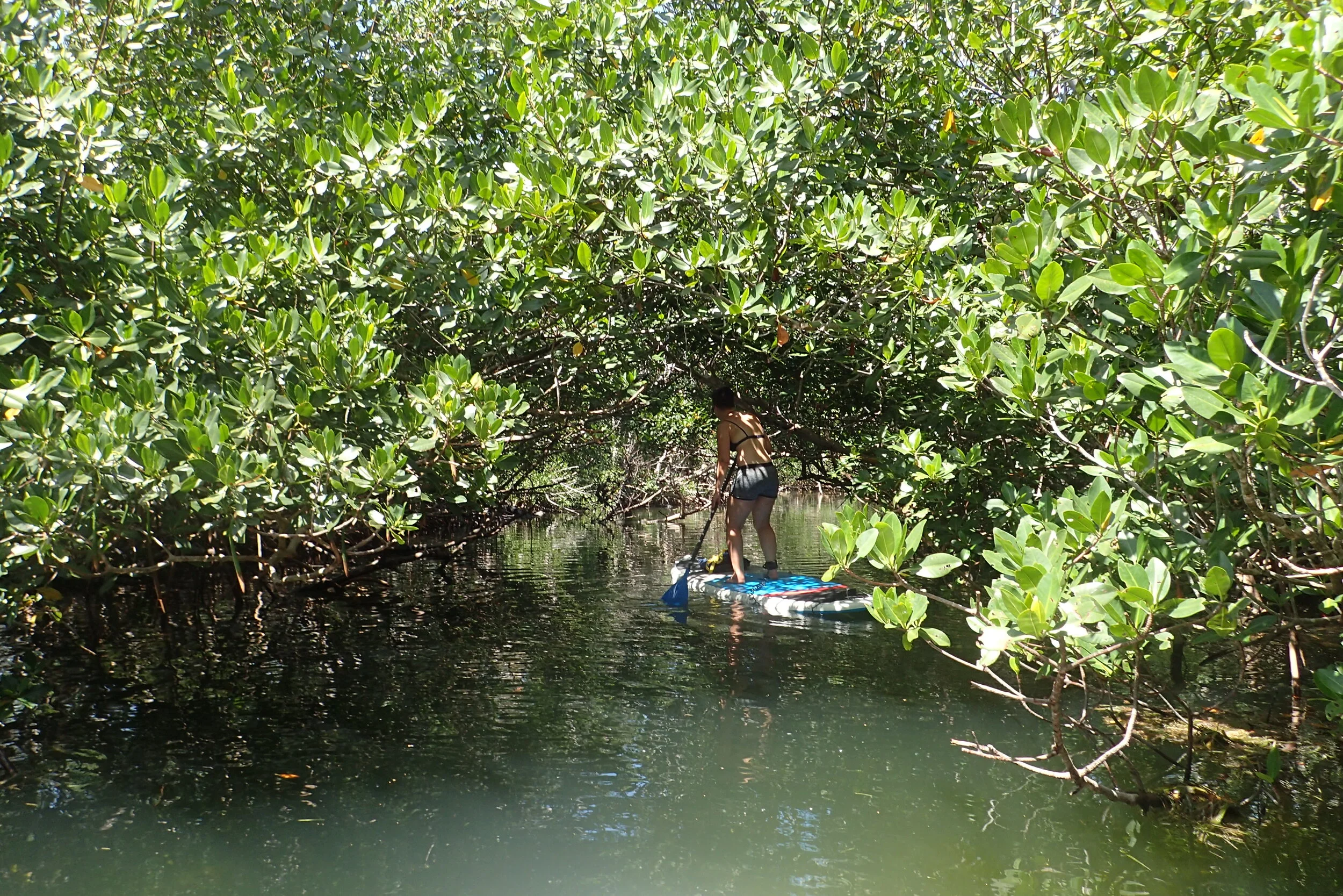 Paddleboarding the Florida Keys: A Day Trip — Deviating the Norm