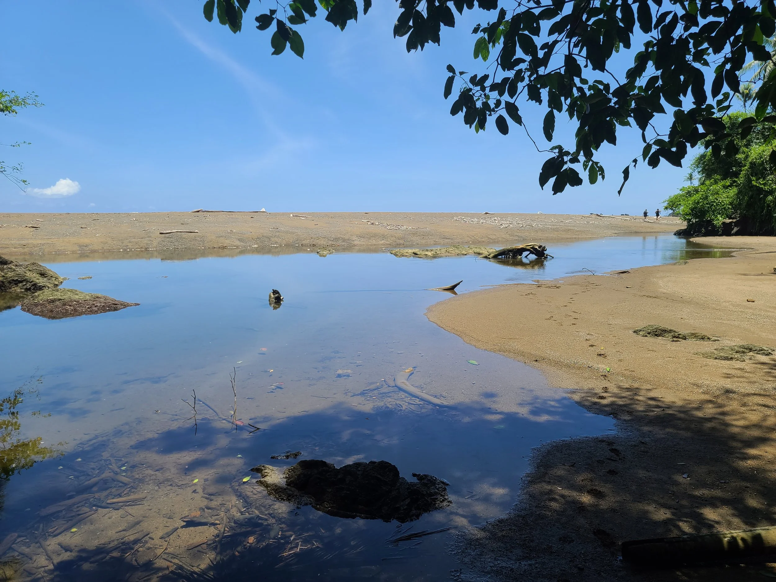 The Drake Bay Jungle Beach Hike in Costa Rica — Deviating the Norm