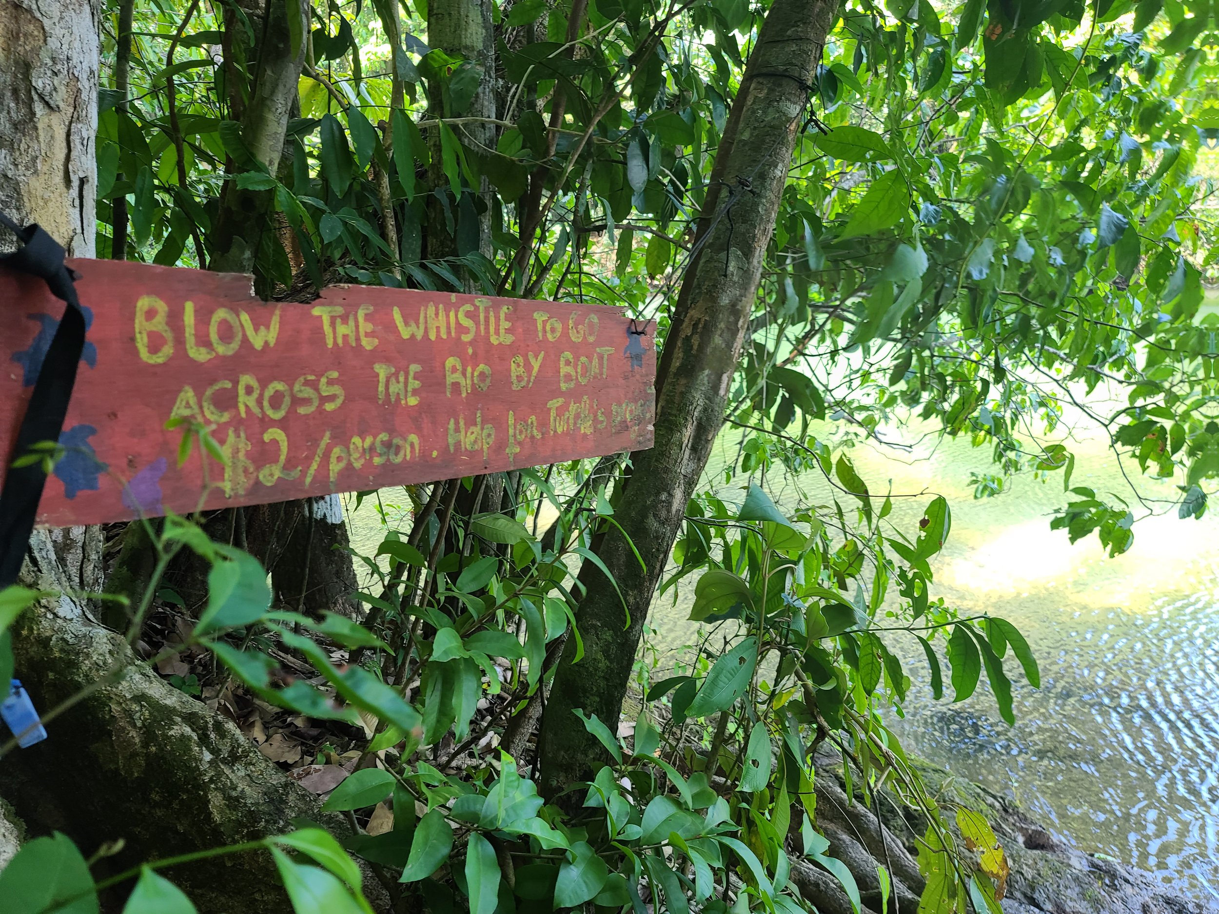 The Drake Bay Jungle Beach Hike in Costa Rica — Deviating the Norm