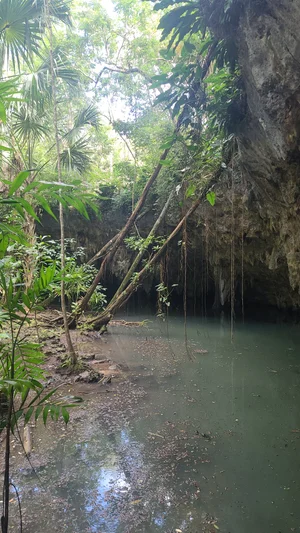 Visiting Cozumel's Jade Cenote in El Cedral — Deviating the Norm